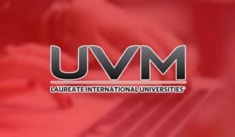 UVM en Línea: Licenciaturas en línea [2024]