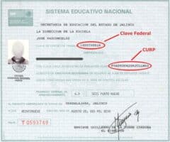Imprime y Descarga tu Certificado de Secundaria SEP