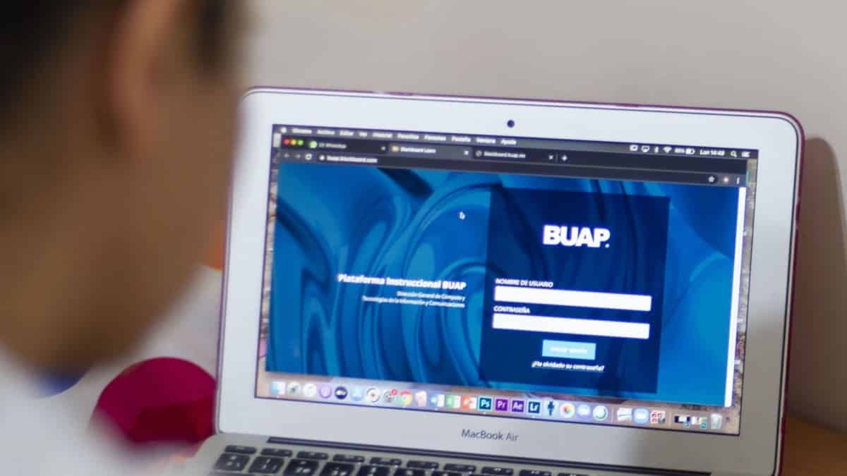 Autoservicios BUAP: ¿Cómo ingresar? Paso a paso