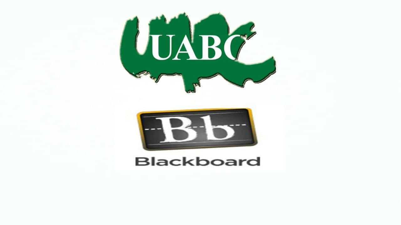 Blackboard UABC: Acceso, Registro en 2024